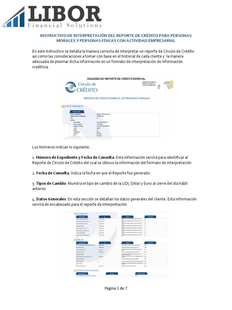 Instructivo Buro SOFOM | PDF