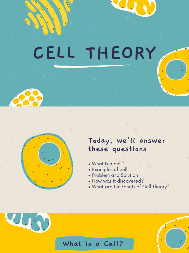 What Is Cell Theory Science Presentation in Blue Yellow Hand Drawn ...
