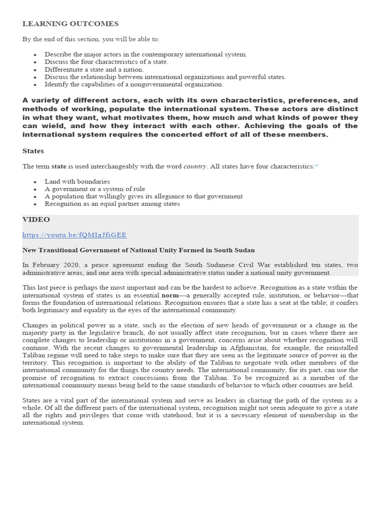 Understanding The Different Types of Actors in The International System ...