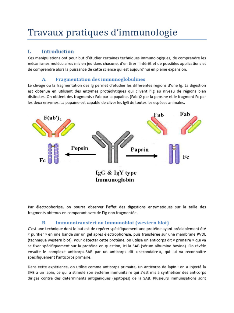 TP Immuno | PDF