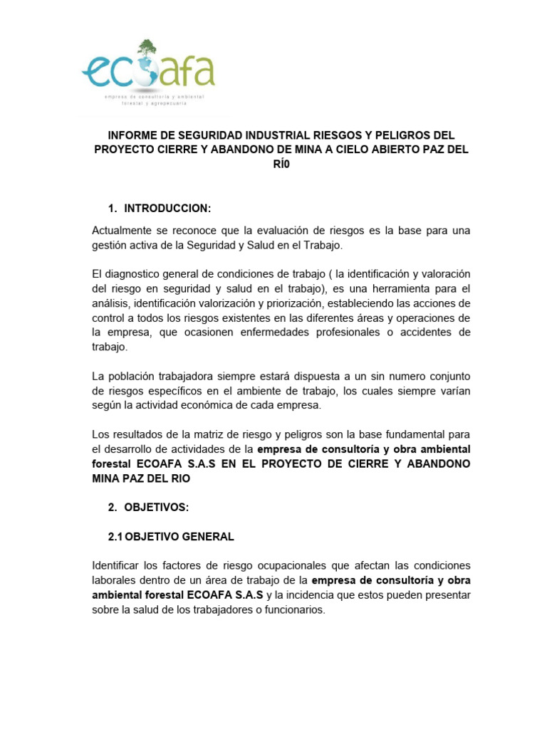 Ecoafa Informe de Seguridad | PDF | Riesgo | Seguridad y salud ocupacional