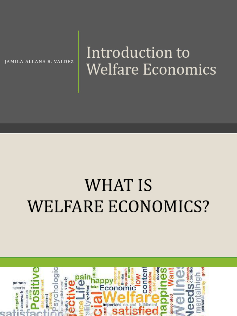 Introduction to Welfare Economics | PDF | Economics | Welfare Economics