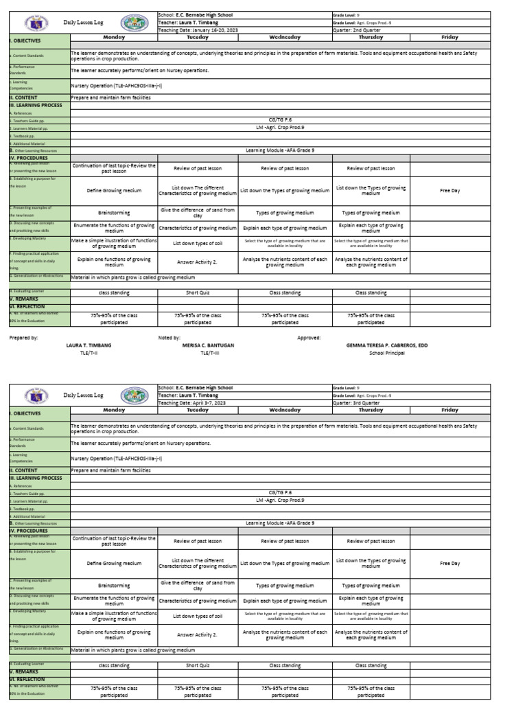 DLL Grade 9-AFA | PDF | Learning | Teachers