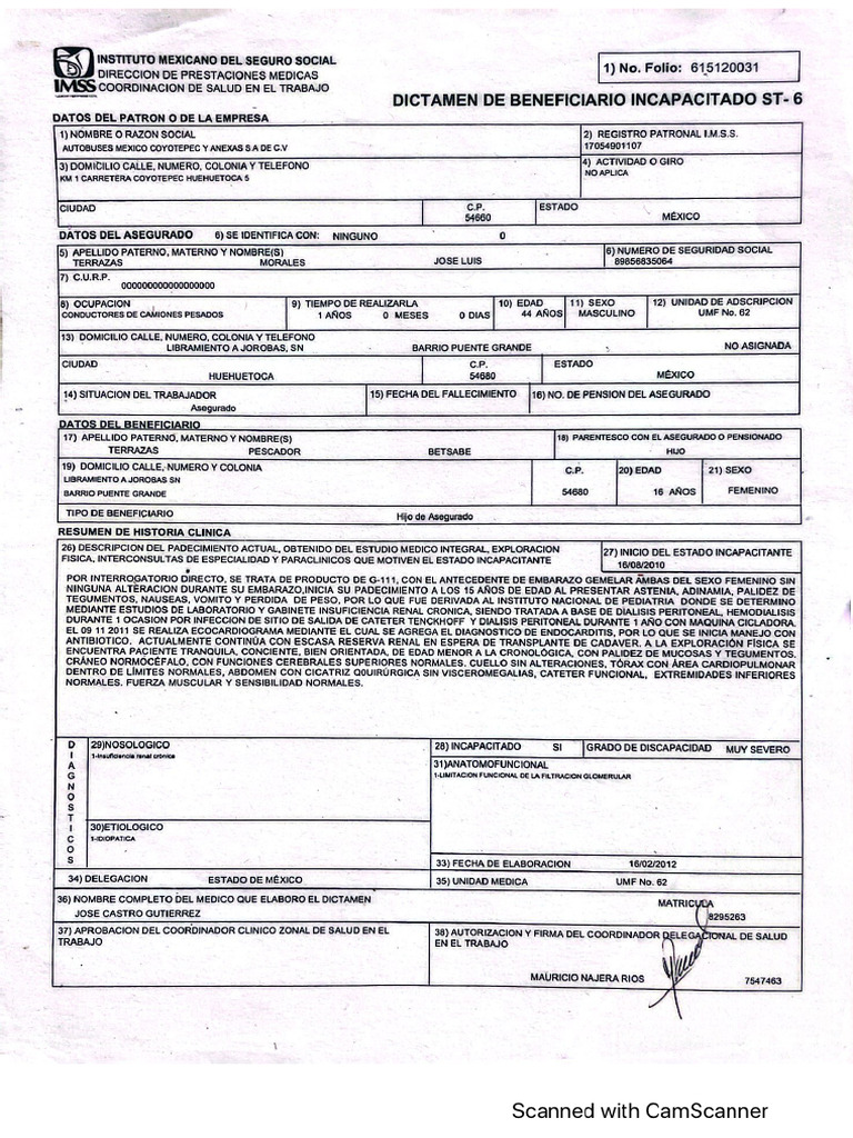 Dictamen Del IMSS | PDF