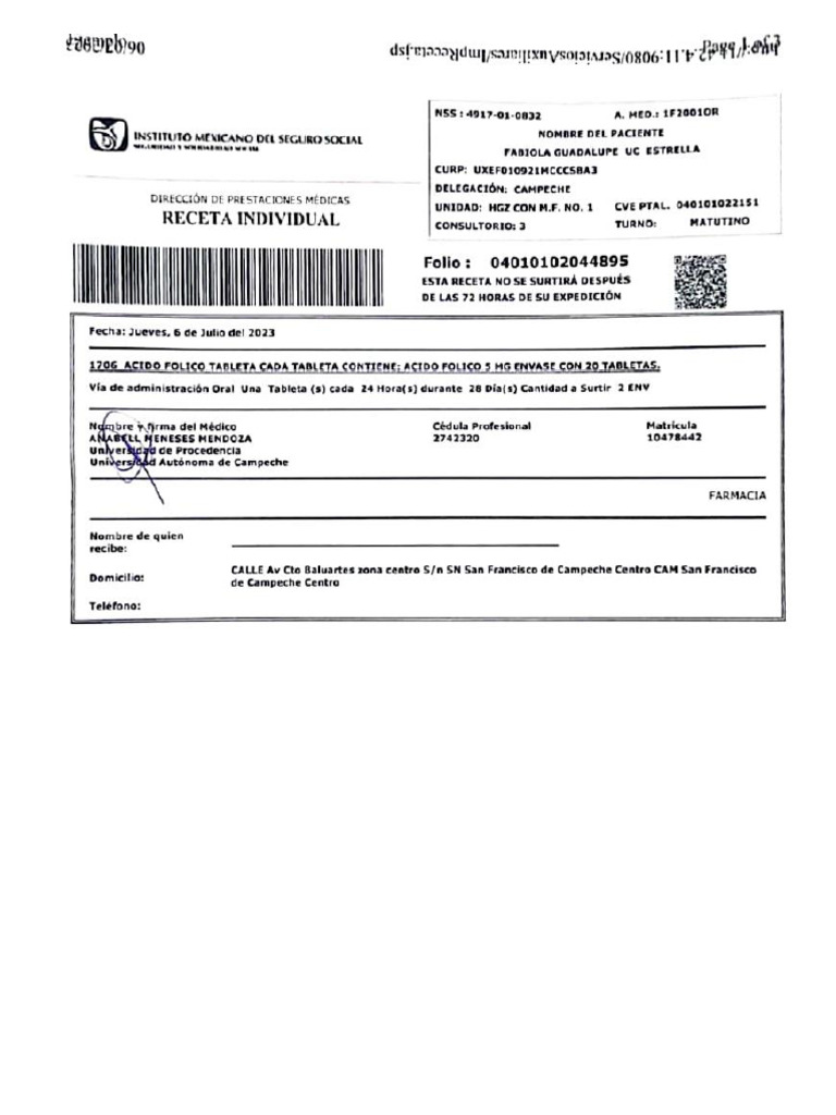 Receta Falsa - Lupita | PDF