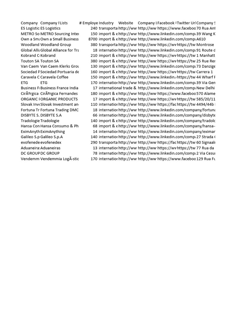 Computer Software Company 1 | PDF