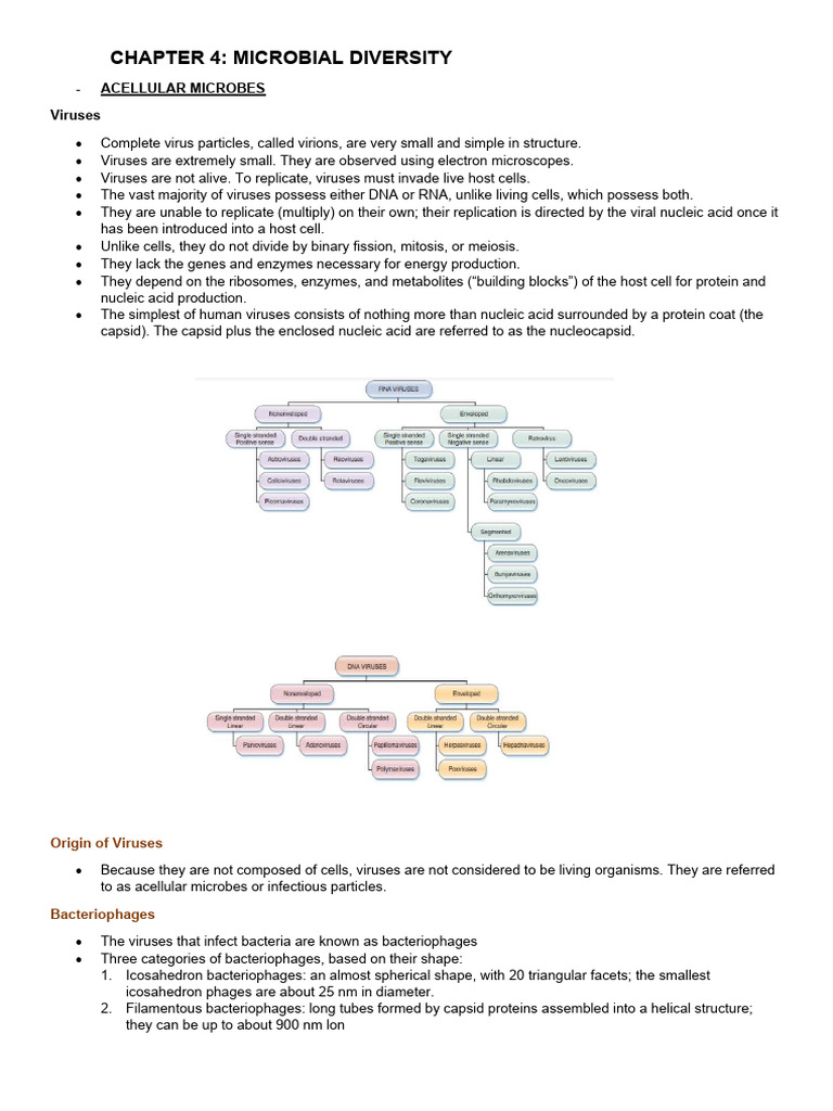 Chapter 4 - Micropara (Outline) | PDF | Virus | Bacteriophage