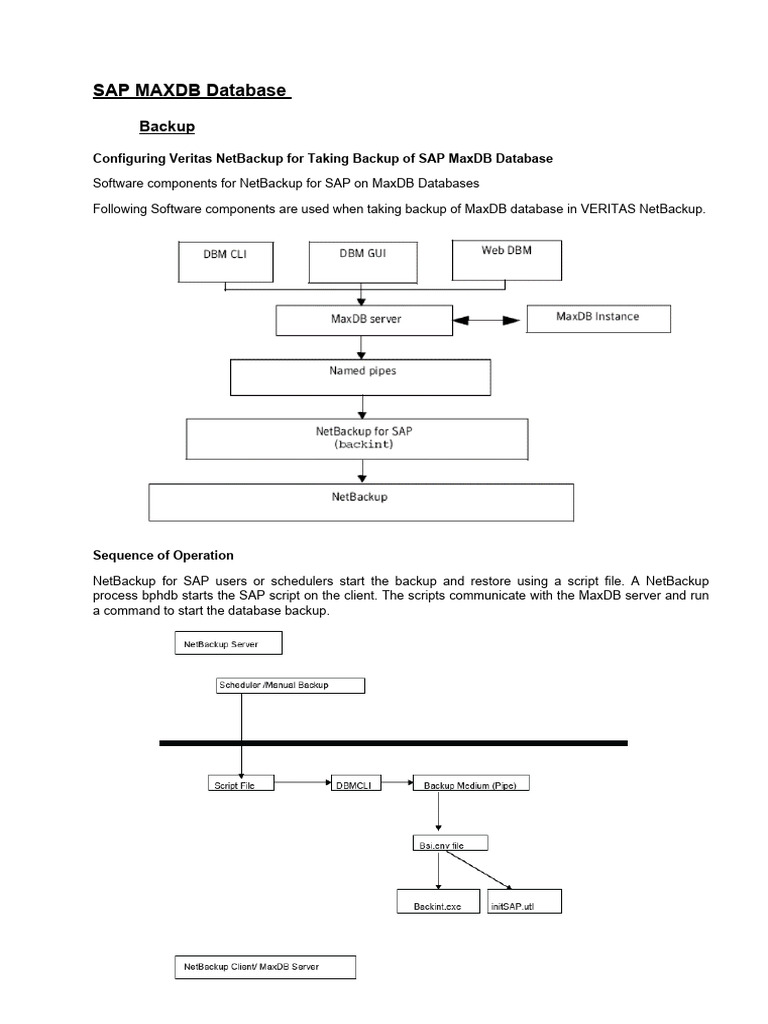 SAP MAXDB Database | PDF