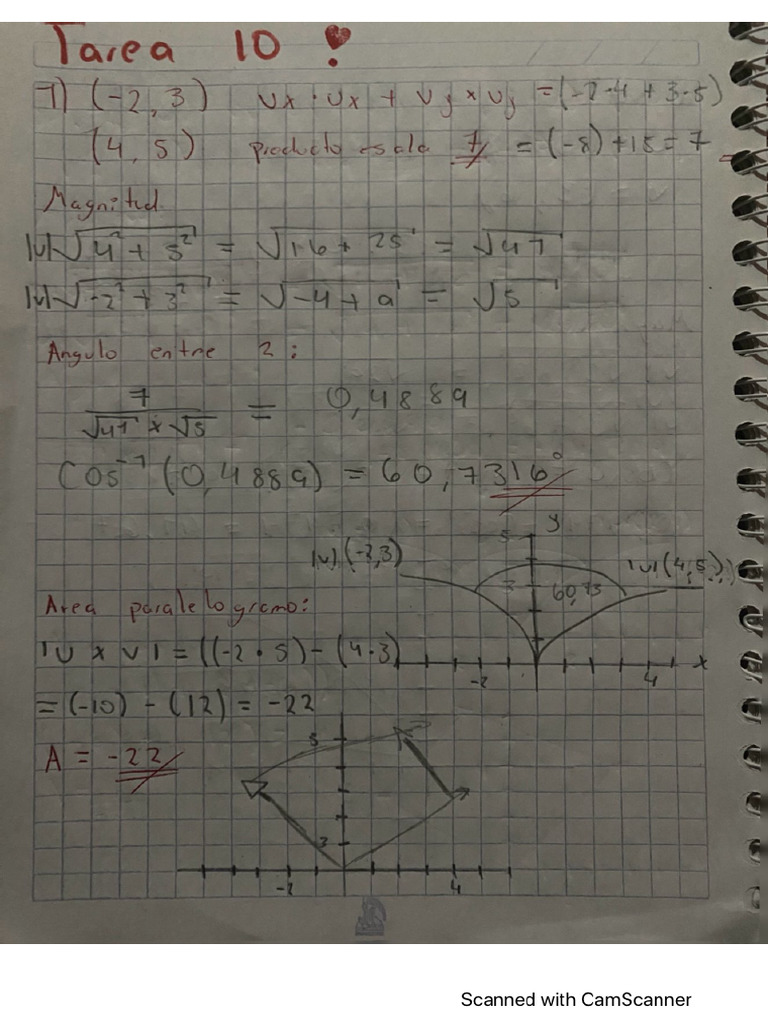 Tarea 10 Alegra Lineal A, C | PDF