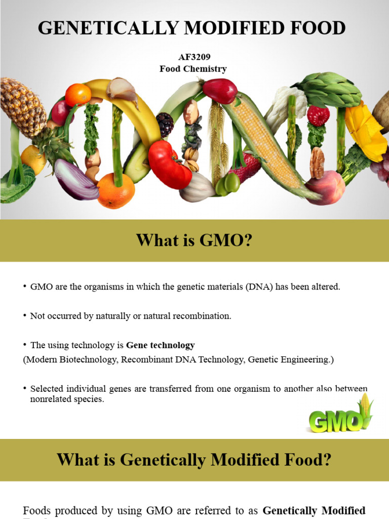 Understanding Genetically Modified Foods | PDF | Genetically Modified ...