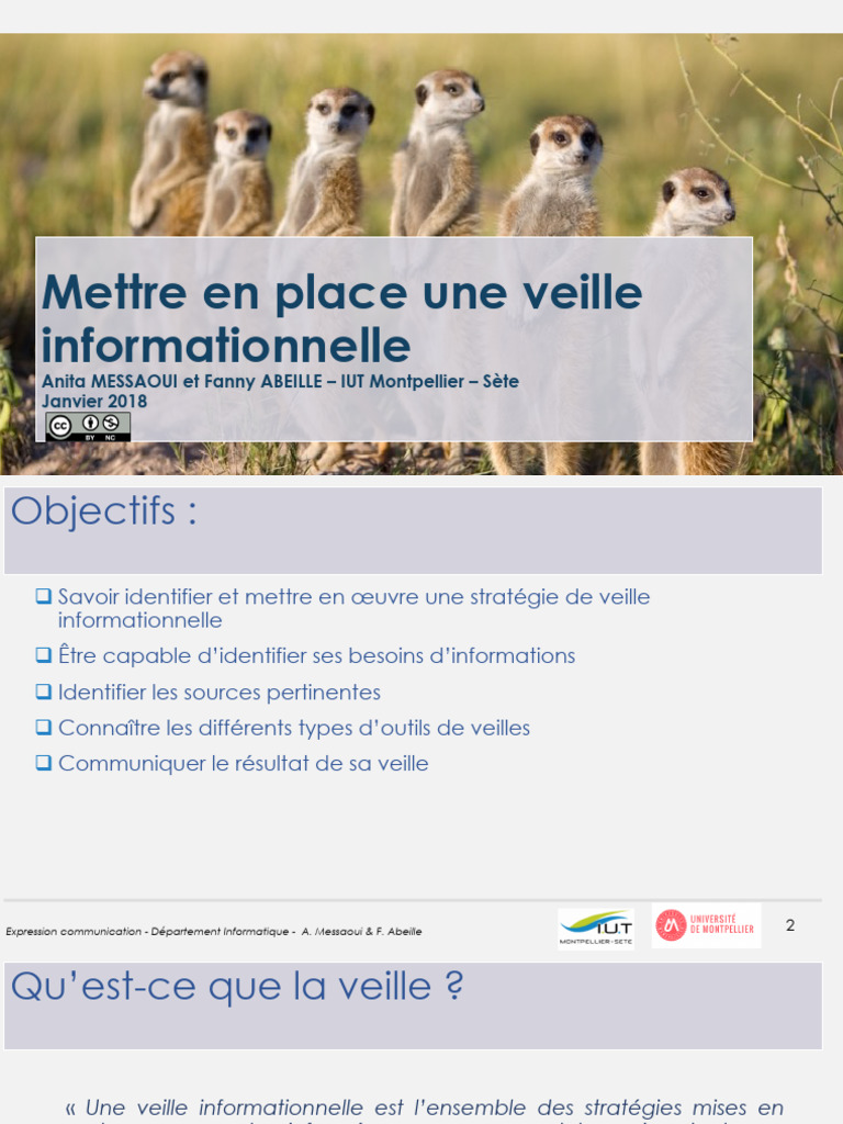 Stratégies de veille informationnelle | PDF