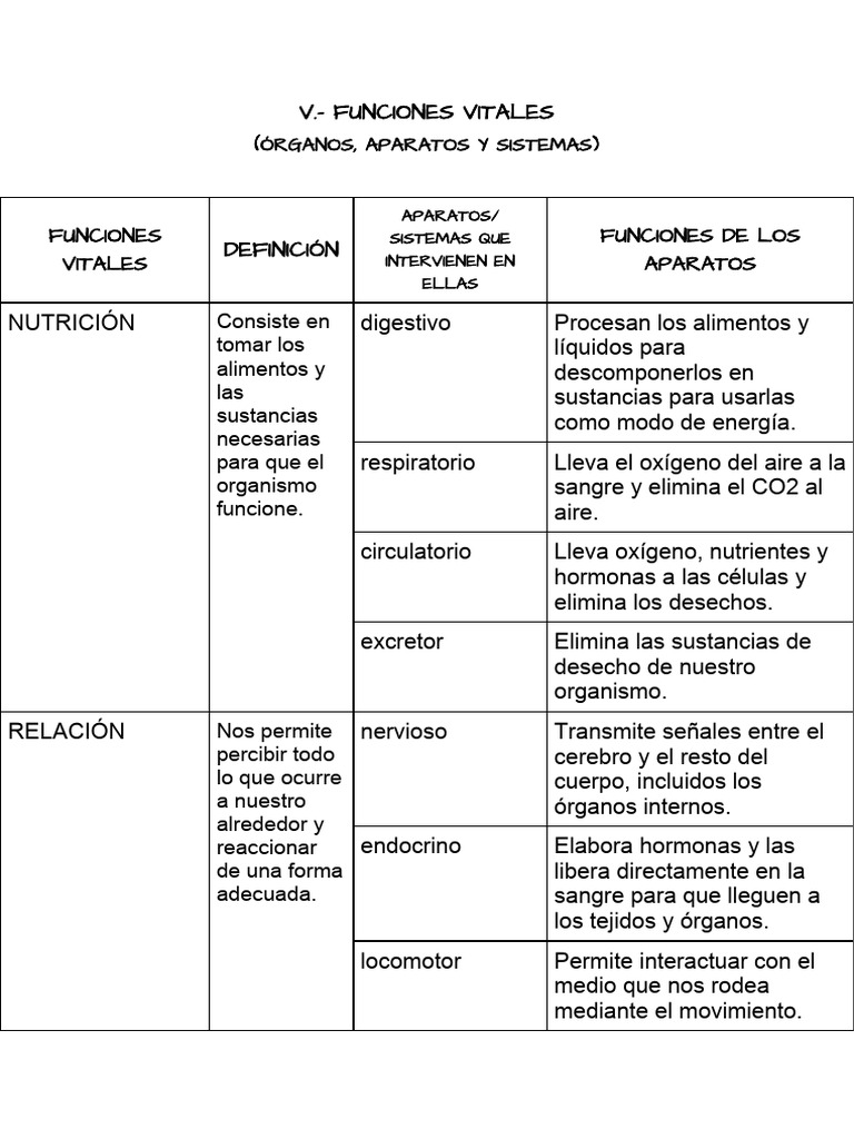 Funciones Vitales Pdf Sangre Sistema Digestivo Humano