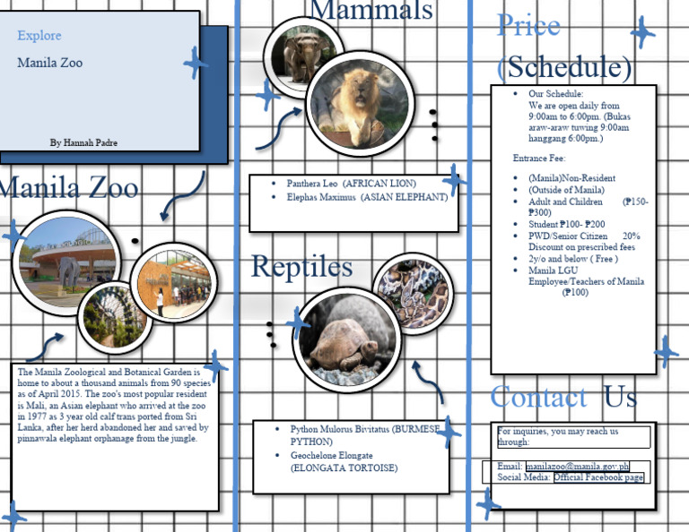 Brochure | PDF | Elephant | Zoo