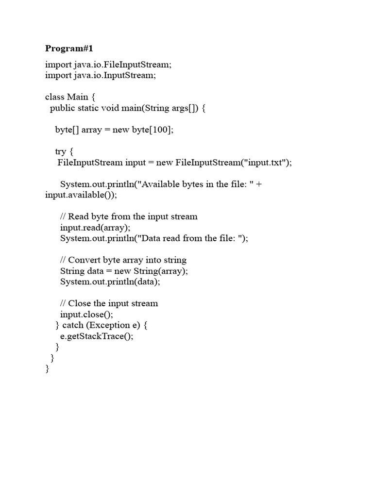 Java Io Basics Example Pdf String Computer Science Software