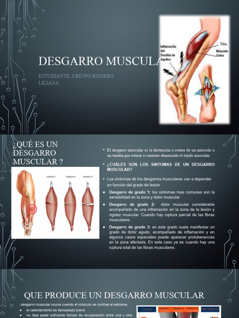 Grados y Tratamiento del Desgarro Muscular | PDF | Músculo esquelético ...