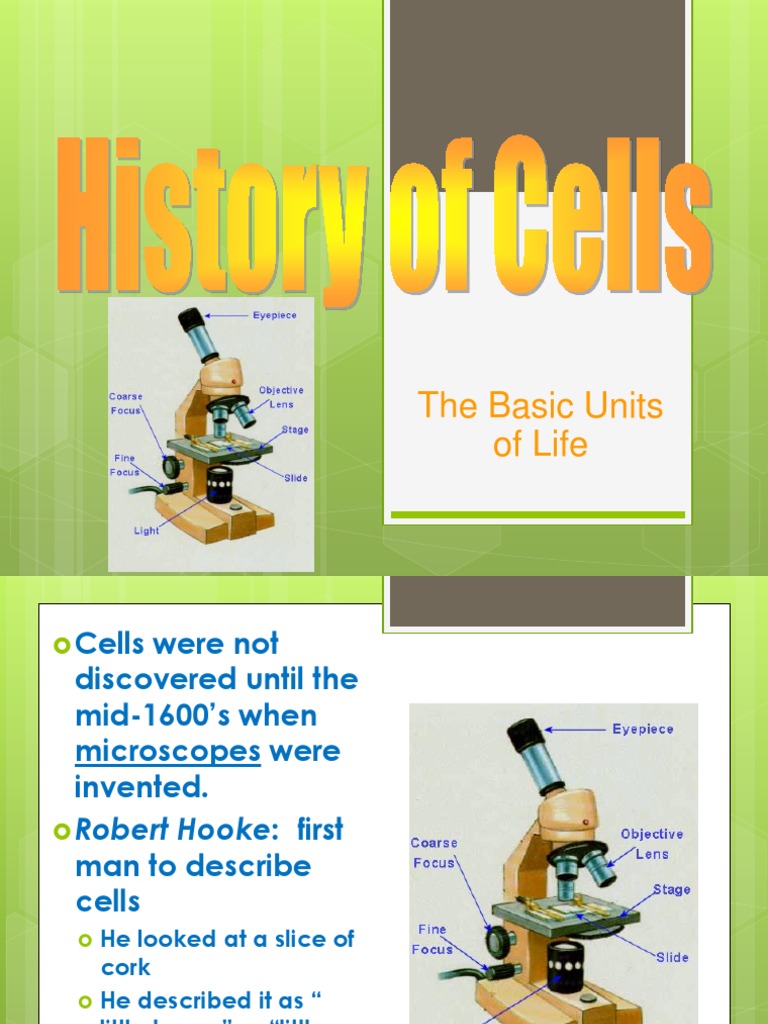History of Cells | PDF