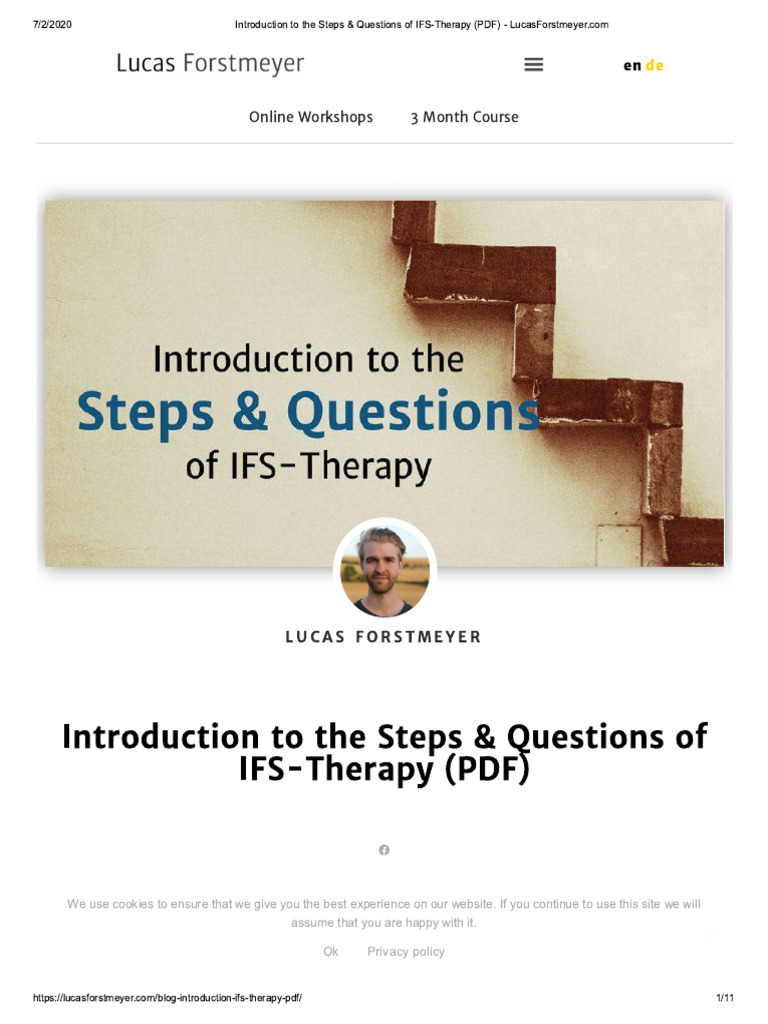 Introduction To The Steps - Questions of IFS-Therapy | PDF