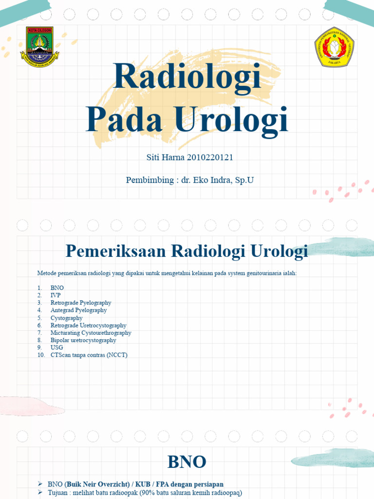 Pemeriksaan Radiologi Pada Urologi | PDF