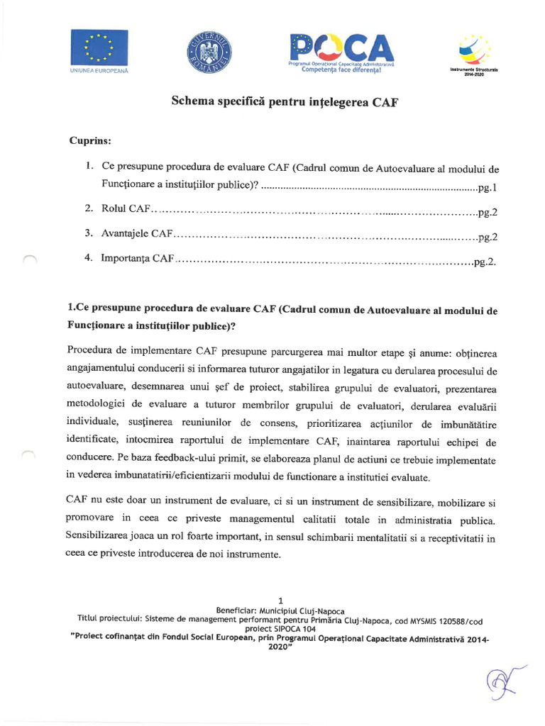 Schema Specifica Pentru Intelegerea CAF | PDF