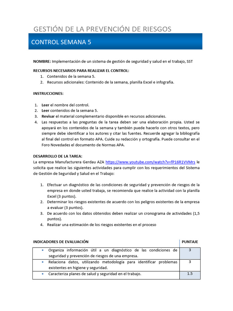 05 - Gestion de La Prevencion de Riesgos - Controlv2 | PDF | Business