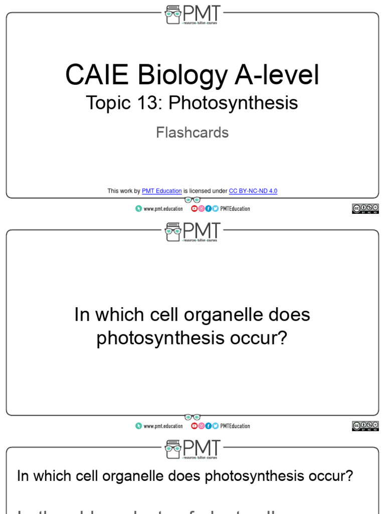 Flashcards---Topic-13-Photosynthesis---CAIE-Biology-A-level-(2019-2021 ...