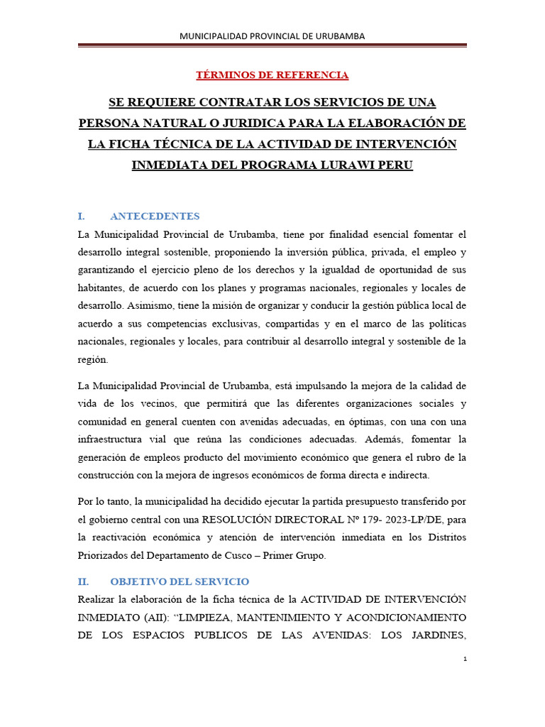 TDR_MODELO-LURAWI | PDF | Presupuesto