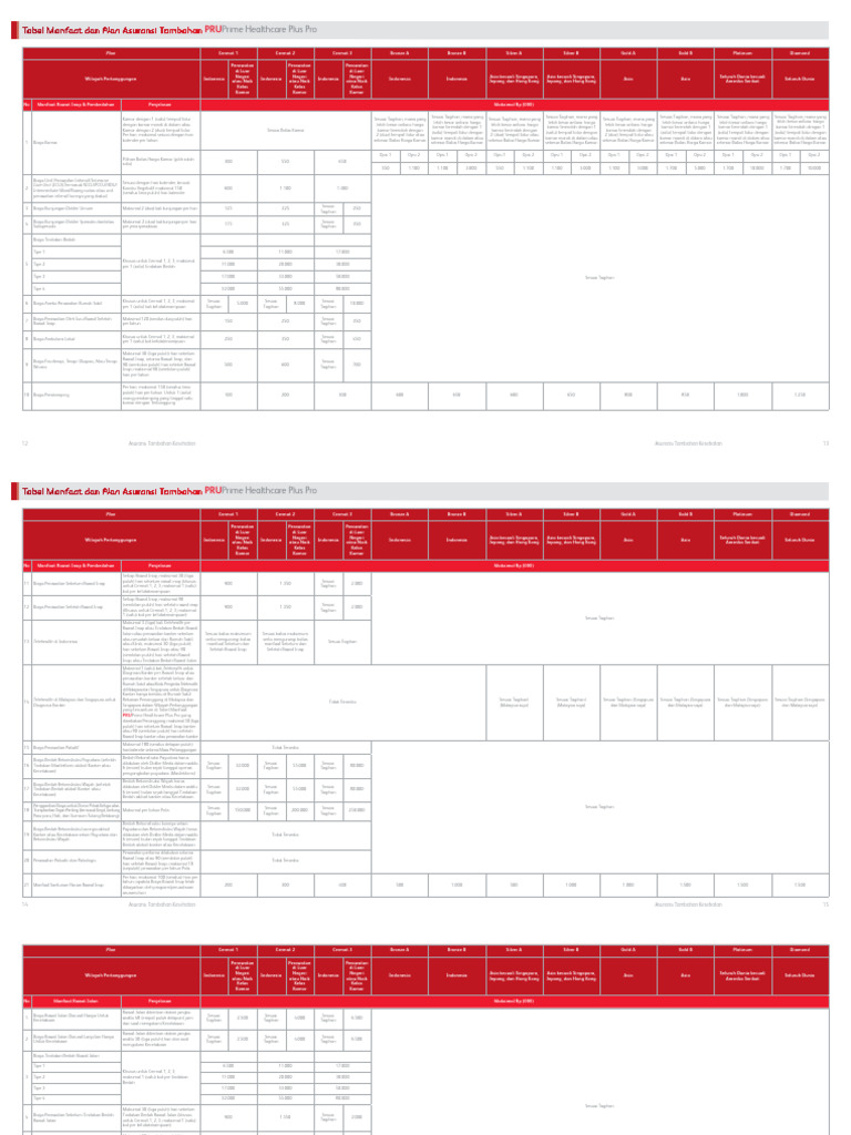 PRU Table RS PPH+ Pro | PDF