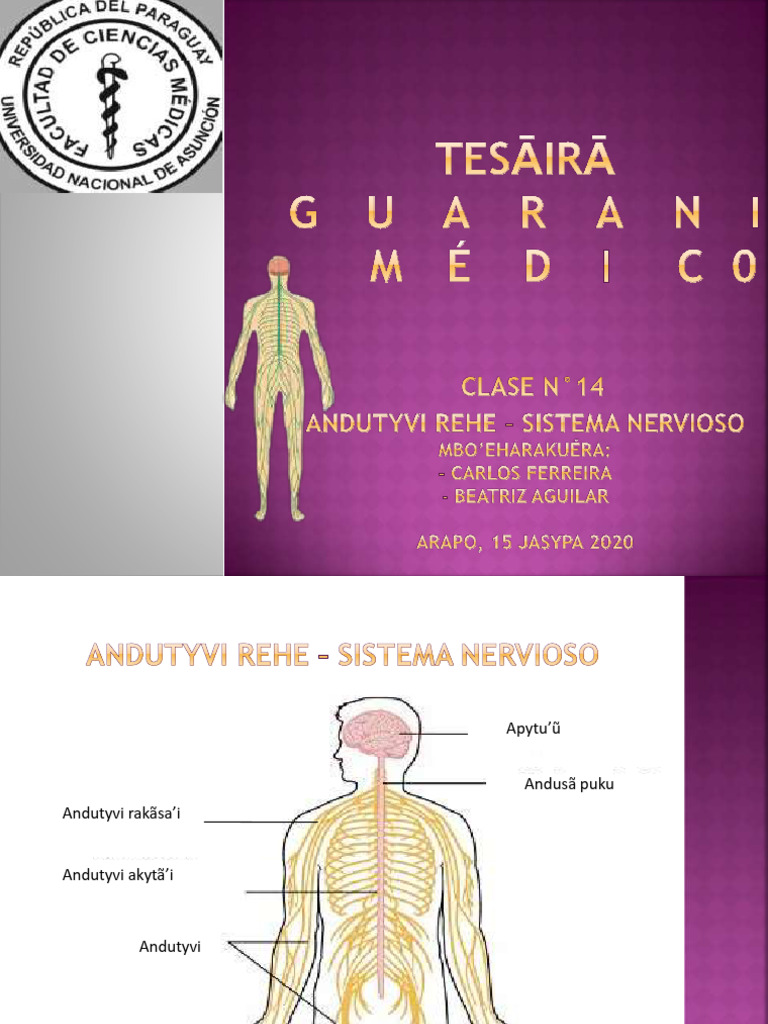 Guarani Médico 14 Andutyvi Rehegua - Sistema Nervioso - Una 2020 | PDF