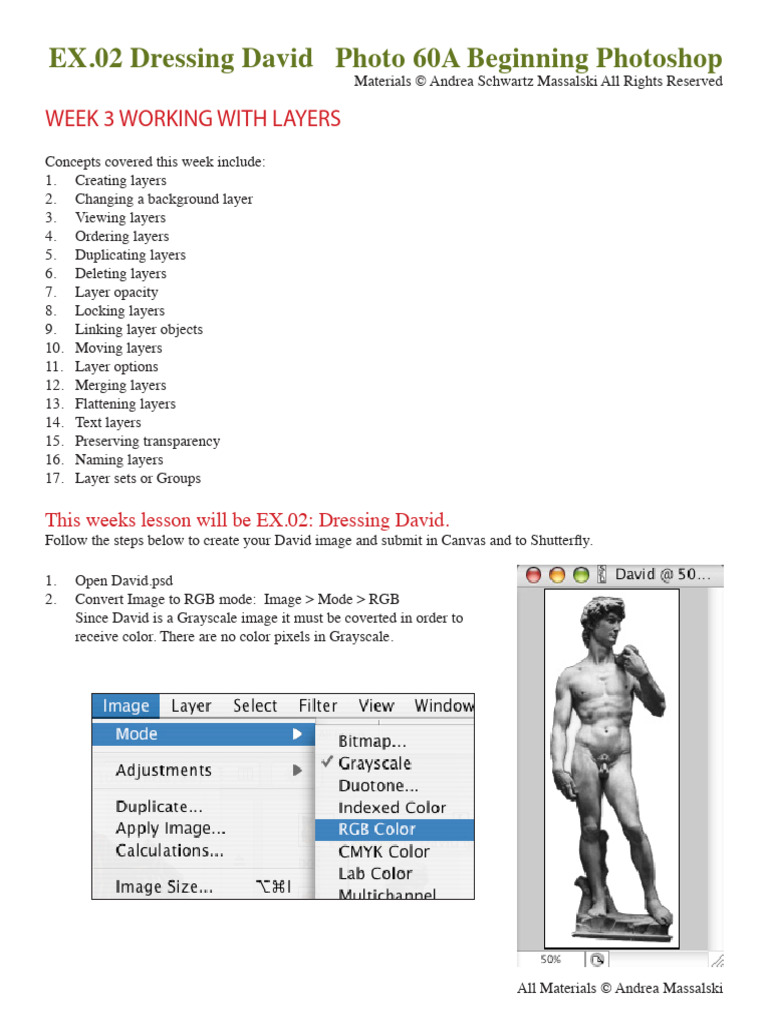60A EX02 David | PDF | Image Processing | Vision