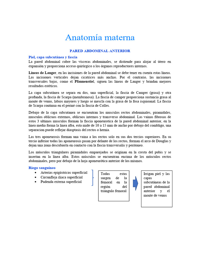 OBSTETRICIA Anatomia Materna, Malformaciones y Fisio | PDF | Pelvis ...