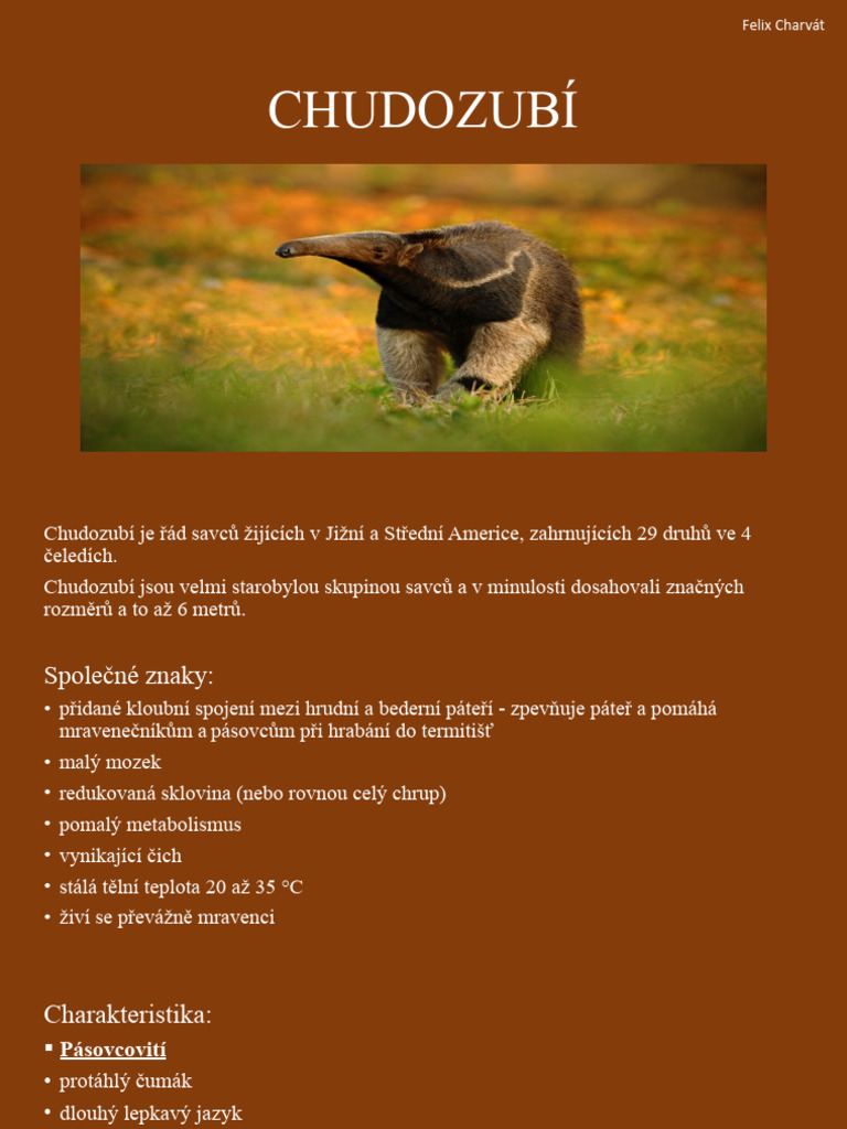 Chudozubí | PDF