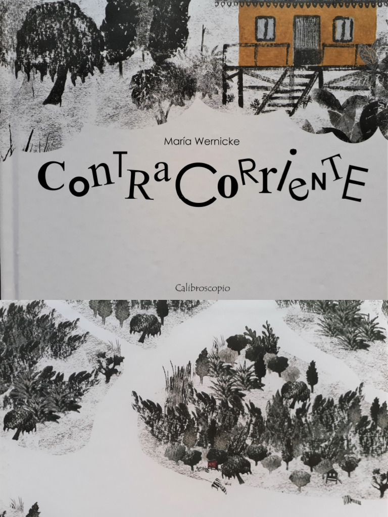 Contracorriente PDF | PDF