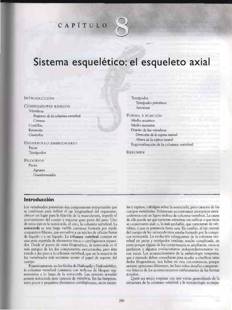 Capitulo 8 Esqueleto Poscraneal | PDF