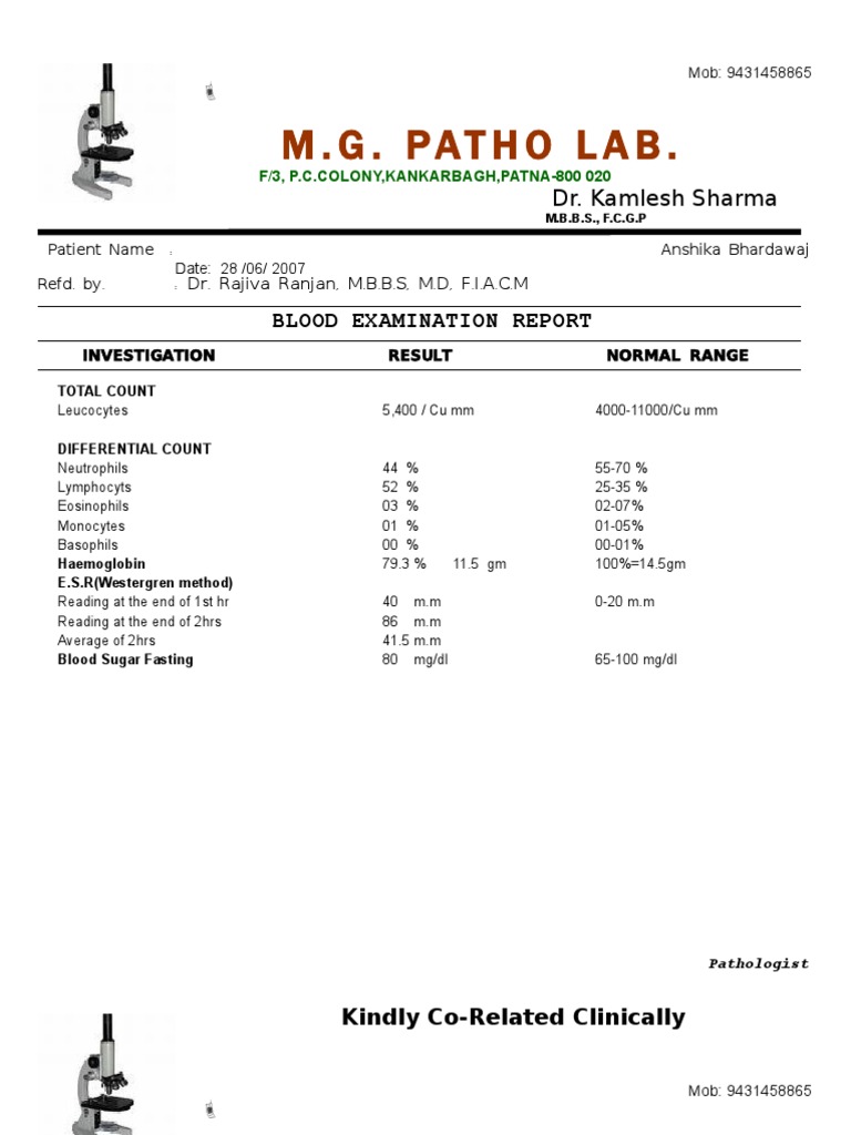 Blood Examination Report | PDF | White Blood Cell | Physiology