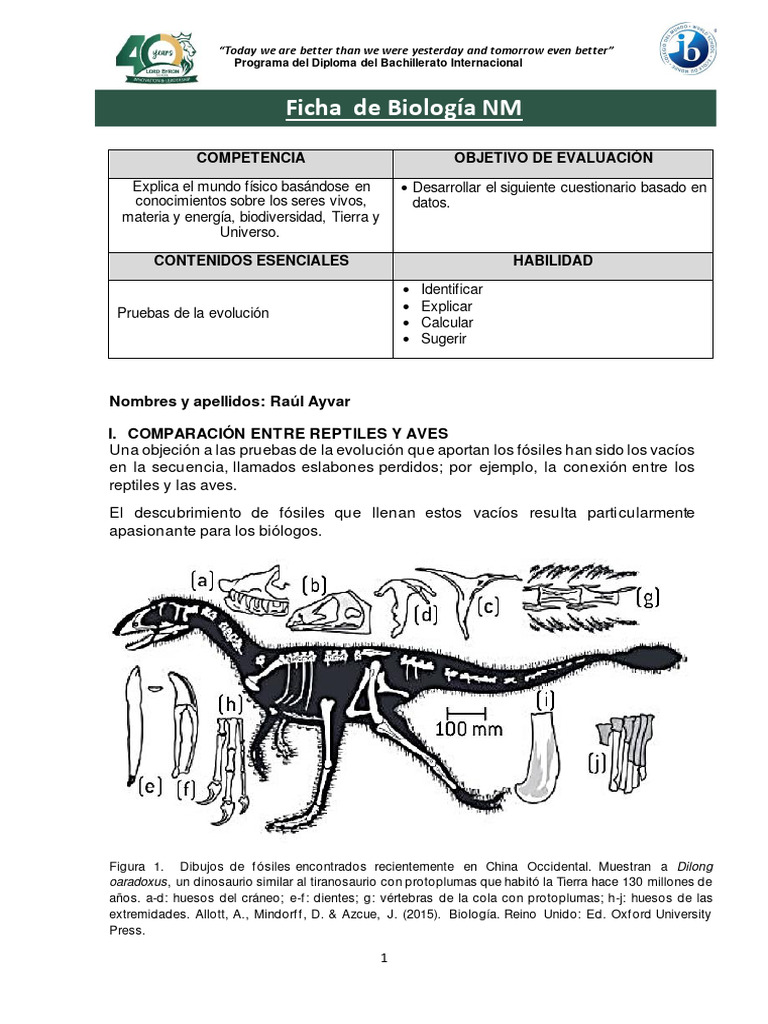 Actividad de Aprendizaje - Pruebas de La Evolución | PDF | Aves | Reptil