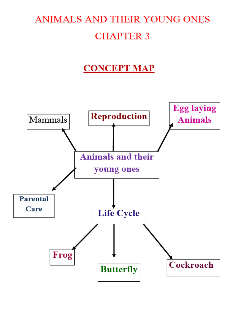 Notes - Animals and Their Young Ones | Download Free PDF | Pupa | Egg