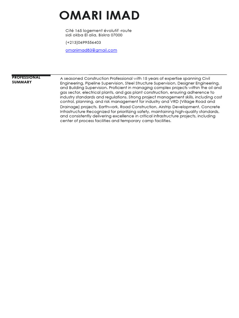 Omari Imad CV Eng | PDF | Business | Art