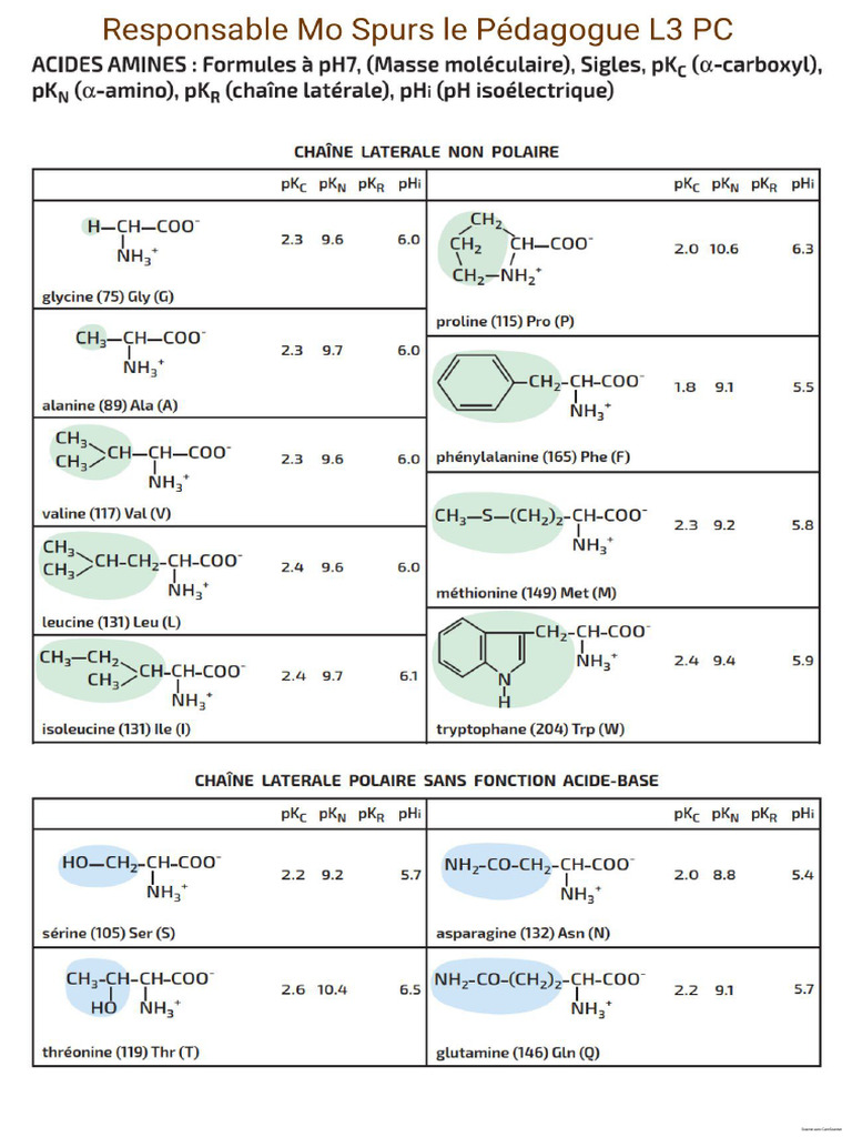 Tableau Des Pka Aa Respo M0 SPURS L3 PC | PDF