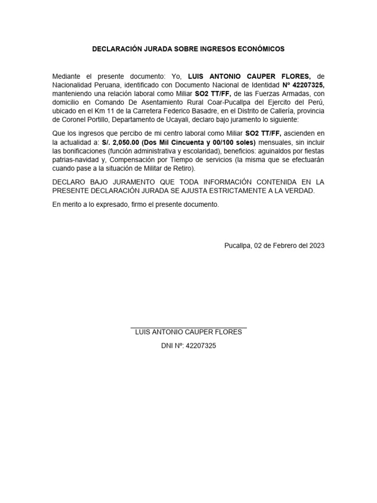 Modelo de Declaración Jurada Sobre Ingresos Económicos | PDF