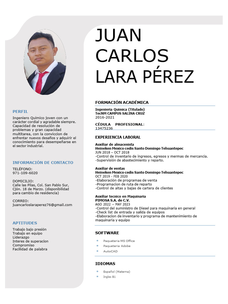 Juan Carlos Lara Pérez CV | PDF | Ciencias fisicas | Business