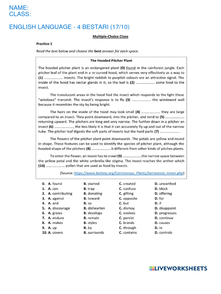 English Form 4 Rational Cloze | PDF