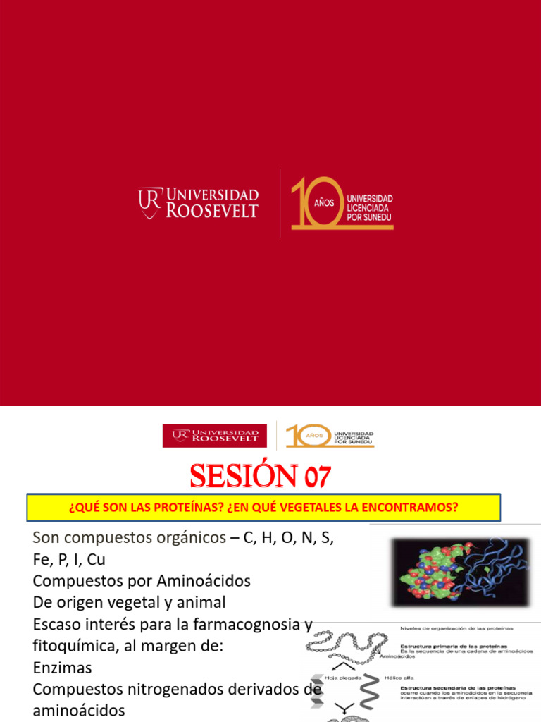 Sesion7 PROTEÍNAS Fitoquimica | PDF | Proteínas | Vegetales