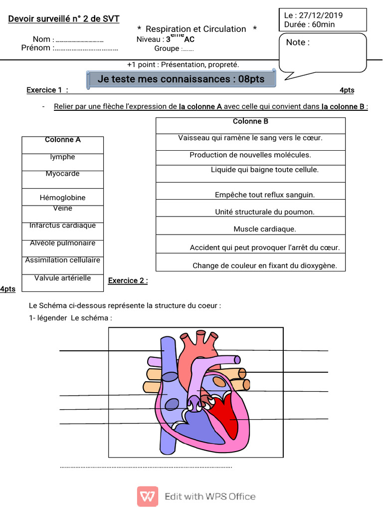 Devoir N2 Semestre 1 SVT 3AC Modele Word 1 | PDF