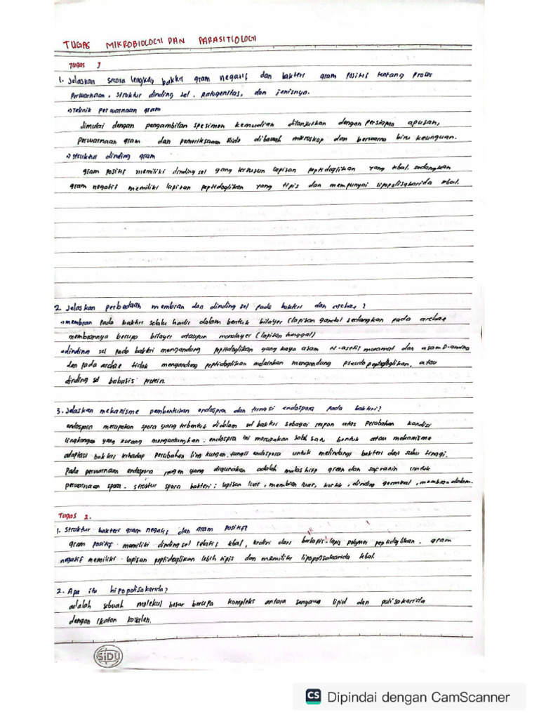 Tugas Mikrobiologi Bu Yuli Putri Nabila | PDF