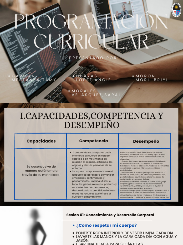 Programacion Curricular, Diapositivas | PDF