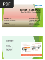 DRI Plant Process Flow Diagram | PDF