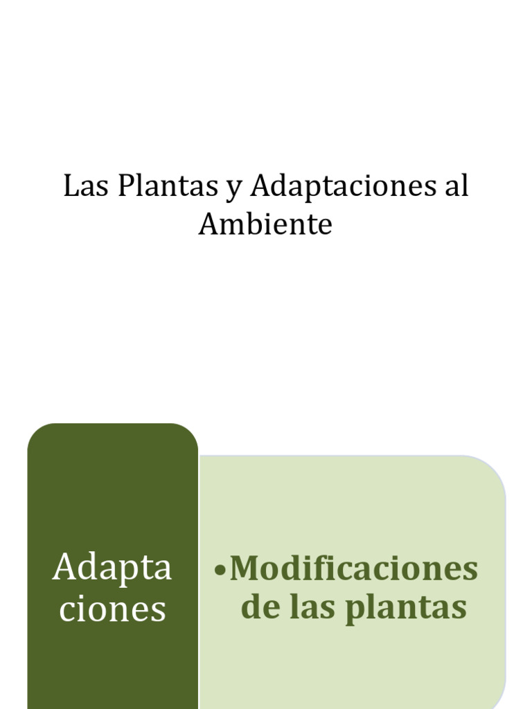 Adaptaciones en Las Plantas | PDF