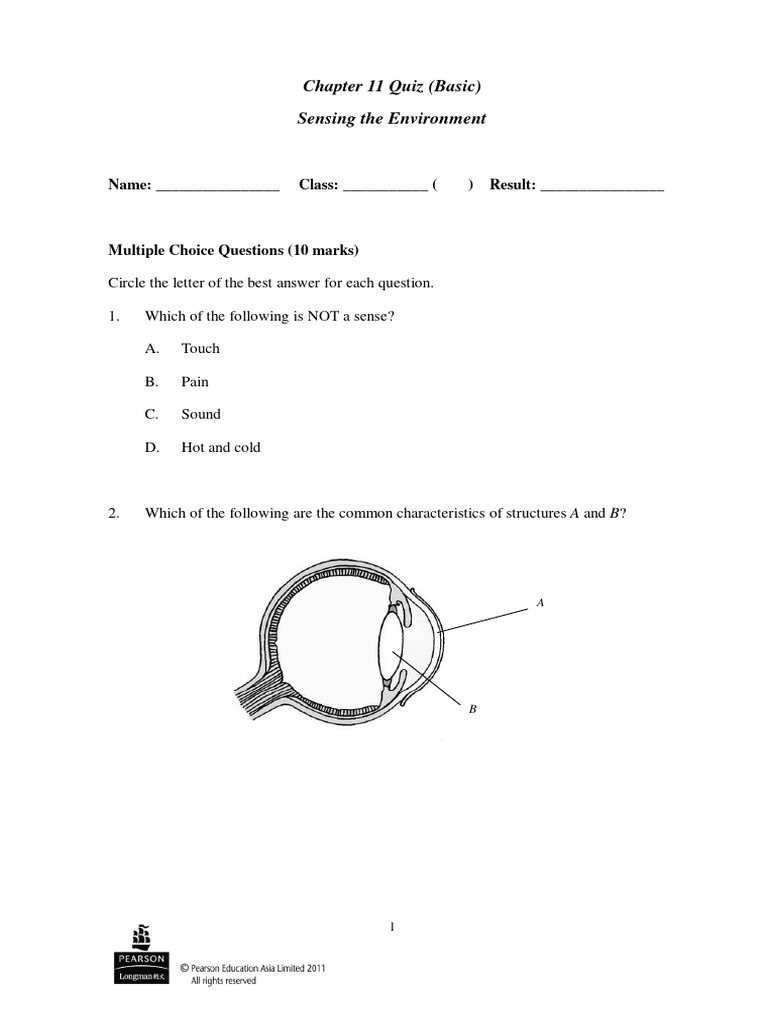 Chapter 11 Quiz: Sensing the Environment | PDF | Senses | Sound