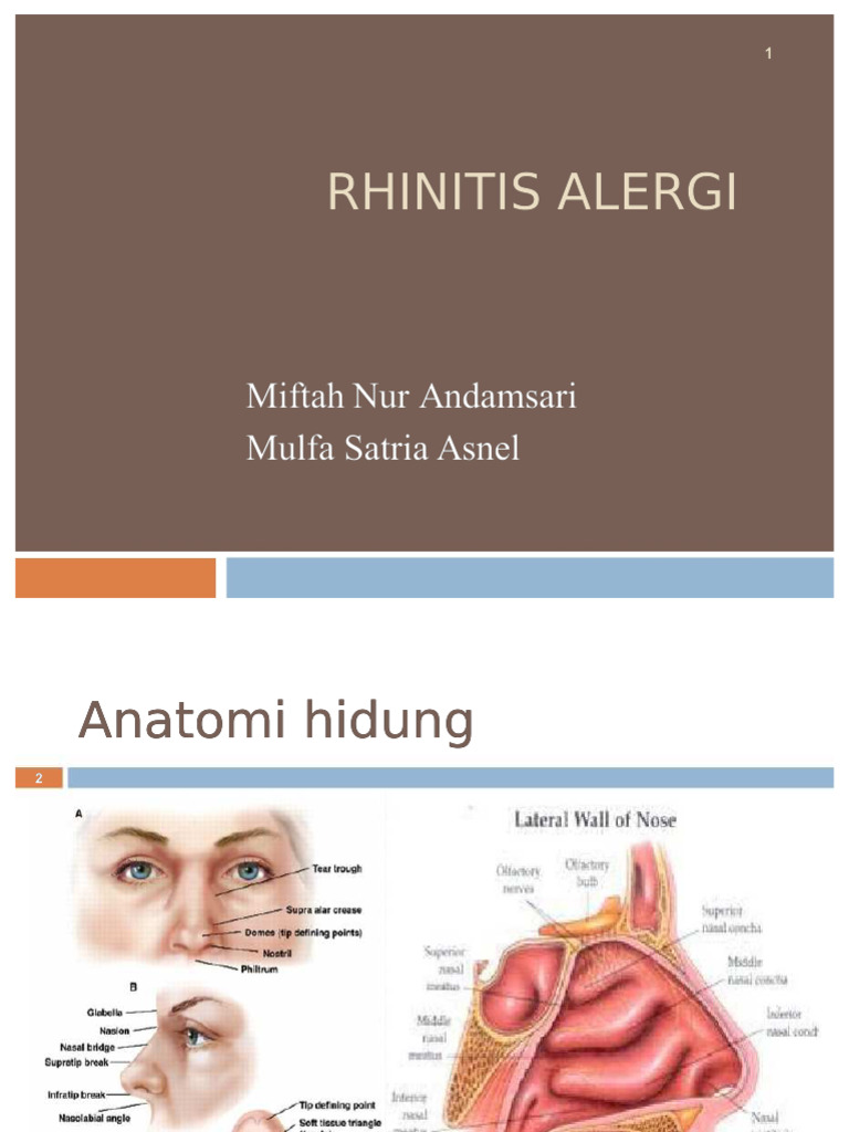 Rhinitis Alergi | PDF