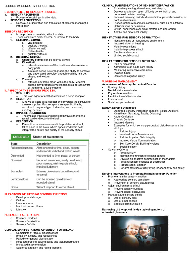 NURSING 21 Sensory Perception | PDF | Perception | Somatosensory System